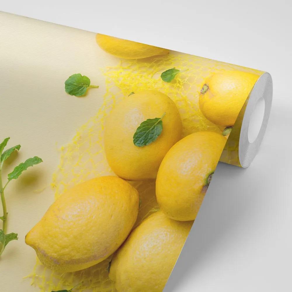Samolepící fototapeta citróny s mátou