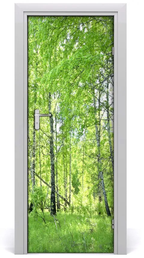 Fototapeta na dveře břízový les 75x205 cm