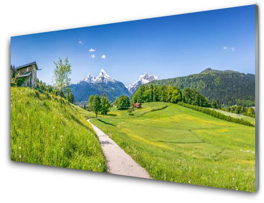Obraz na skle Hory Louka Stezka Údolí 125x50 cm
