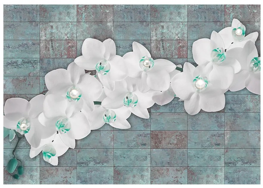 Fototapeta - Orchids with pearls