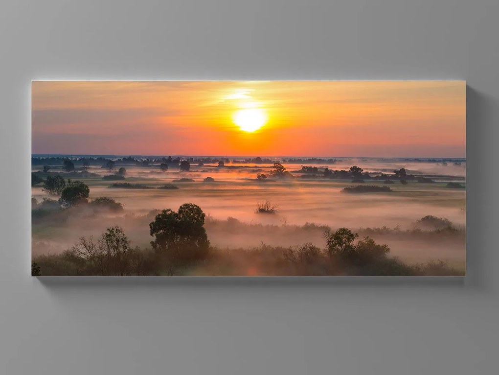 XXL obraz mlha nad lesem pripyat Rozměr: 250 x 125 cm