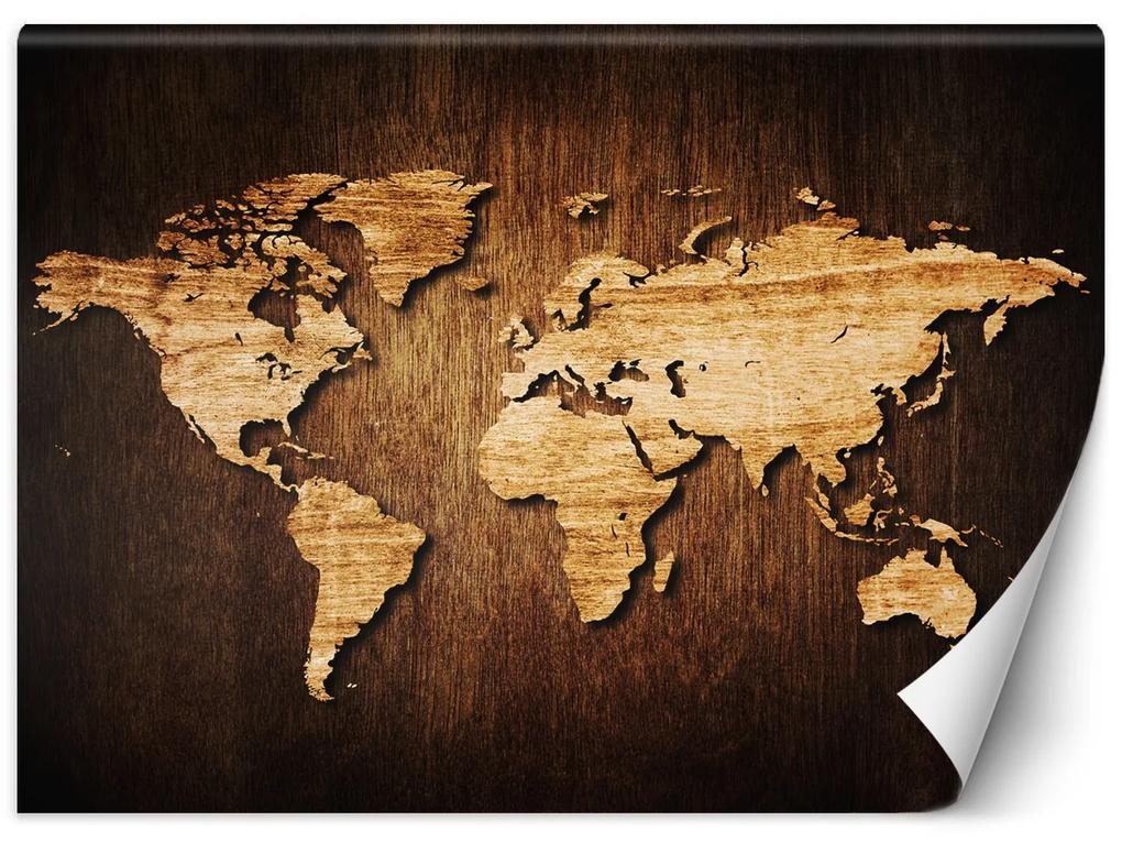 Gario Fototapeta Mapa světa na dřevě Materiál: Vliesová, Rozměry: 200 x 140 cm