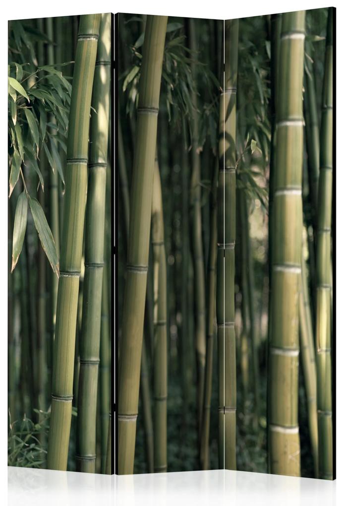 Artgeist Paraván - Bamboo Exotic [Room Dividers] Velikosti (šířkaxvýška): 135x172