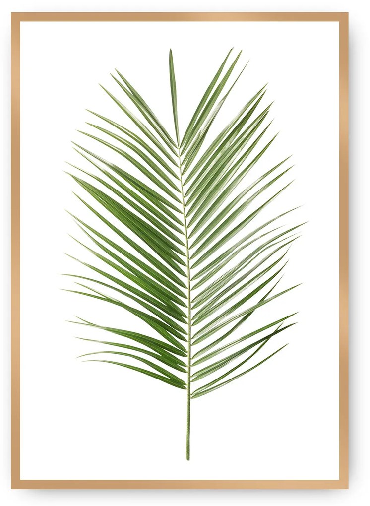 Plakát Palm Leaf Green