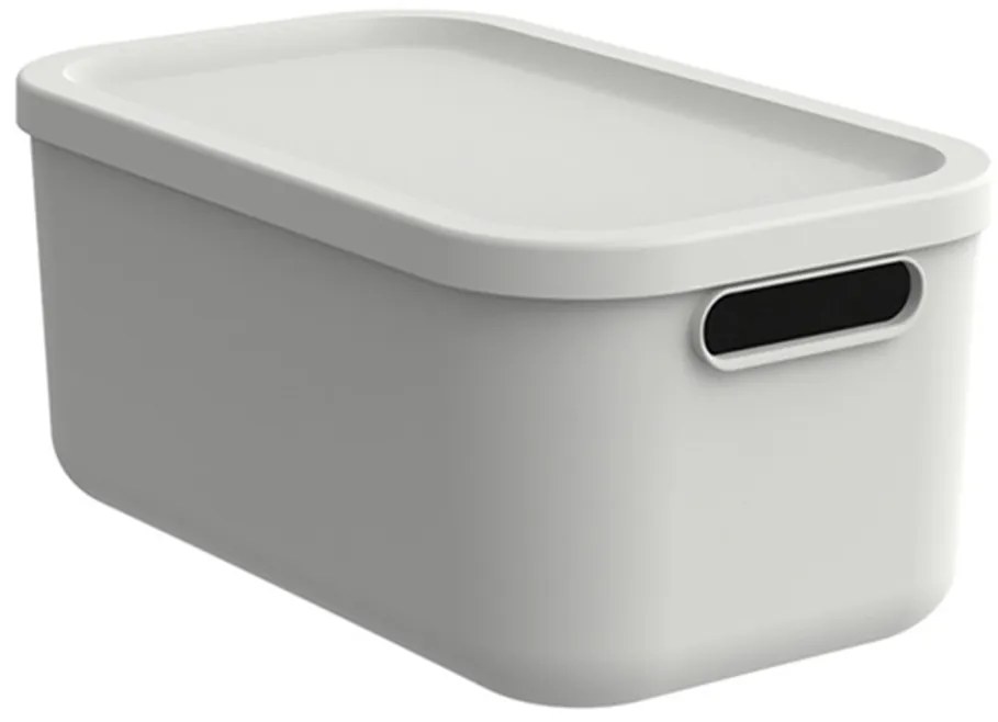 Rotho Úložný box, rovný s víkem, 12l, matně bílá ALBU LIGHT, 40x24x18 cm