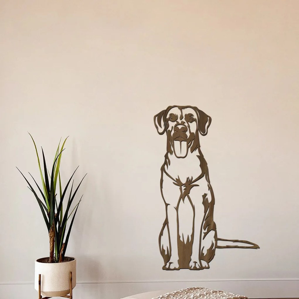 dřevo života Dřevěná dekorace psa Ridgeback Rozměry (cm): 19x30, Barevný vzor: Černá