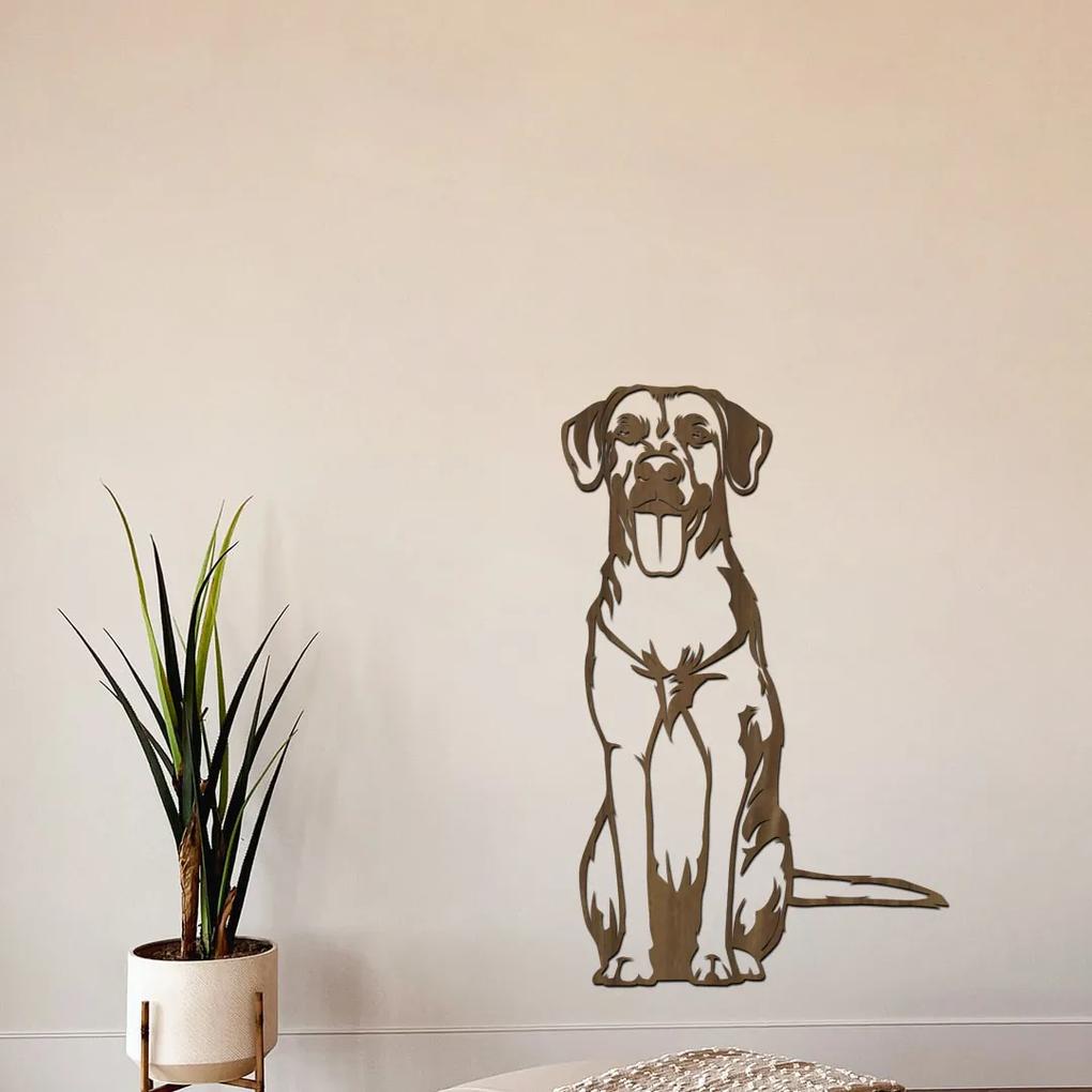 dřevo života Dřevěná dekorace psa Ridgeback Rozměry (cm): 38x60, Barevný vzor: Buk
