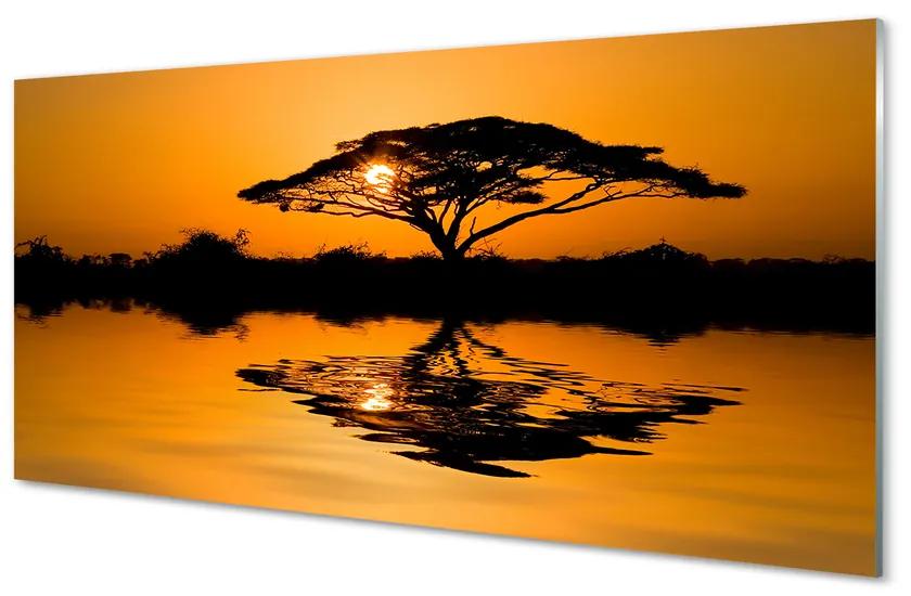 akrylový obraz Sunset tree 140x70 cm