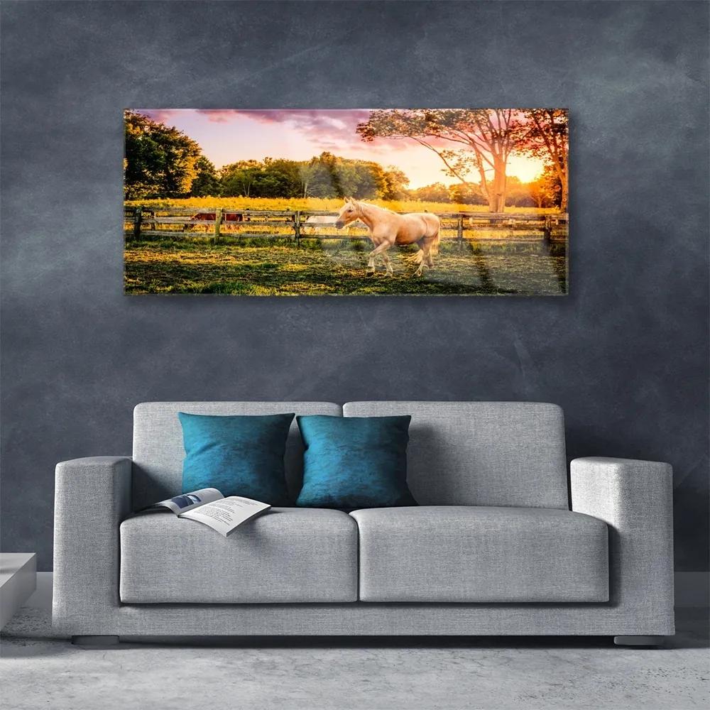 akrylový obraz Kůň Louka Zvířata 125x50 cm