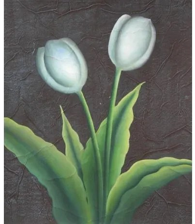 Obraz - Tulipány bílé