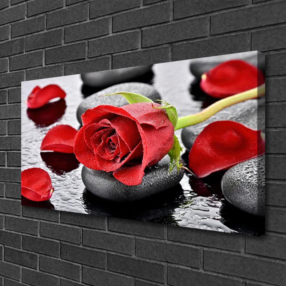 Obraz na plátně Růže Květ Kameny Zen 100x50 cm