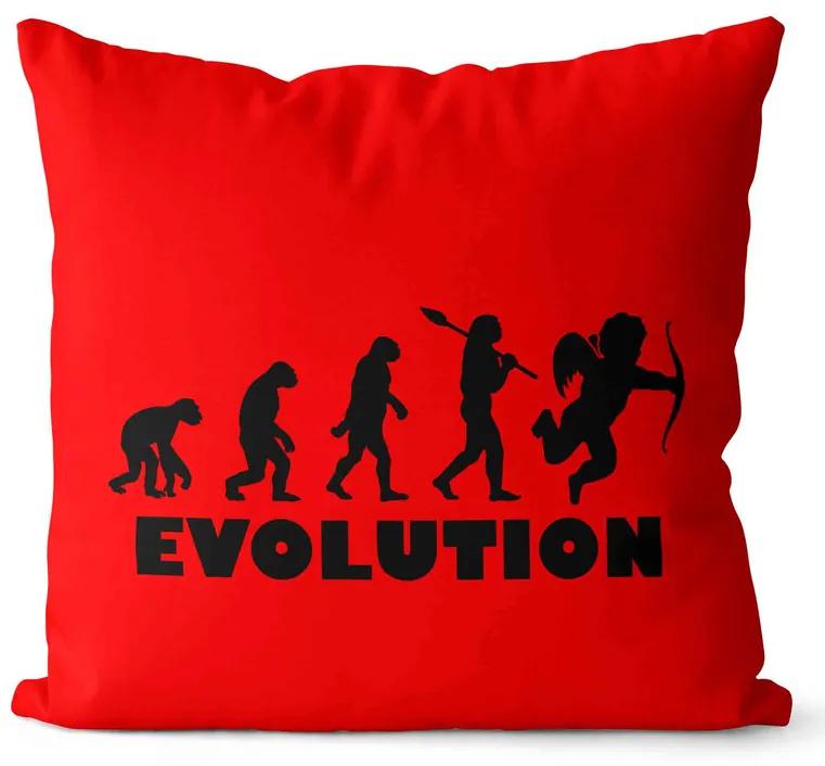 Polštářek Evolution láska (Velikost: 40 x 40 cm)