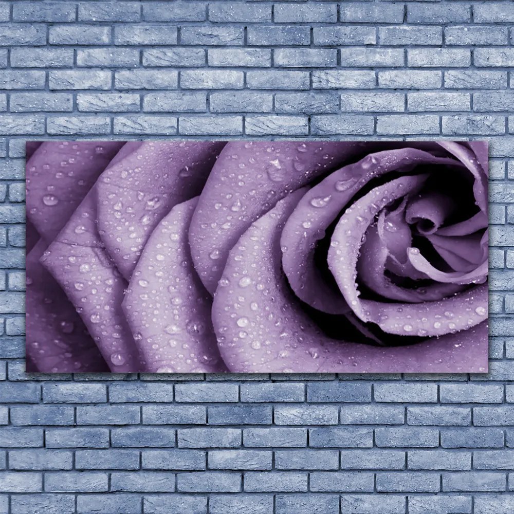 Obraz na plátně Růže Květ Rostlina 120x60 cm