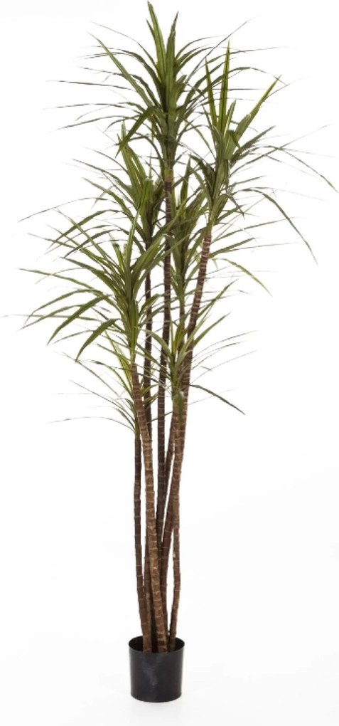 Dracaena Magenta umělá V 120 cm