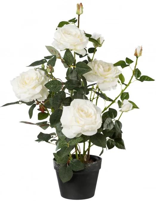 Umělá květina Gasper růže v květináči bílá 68 cm