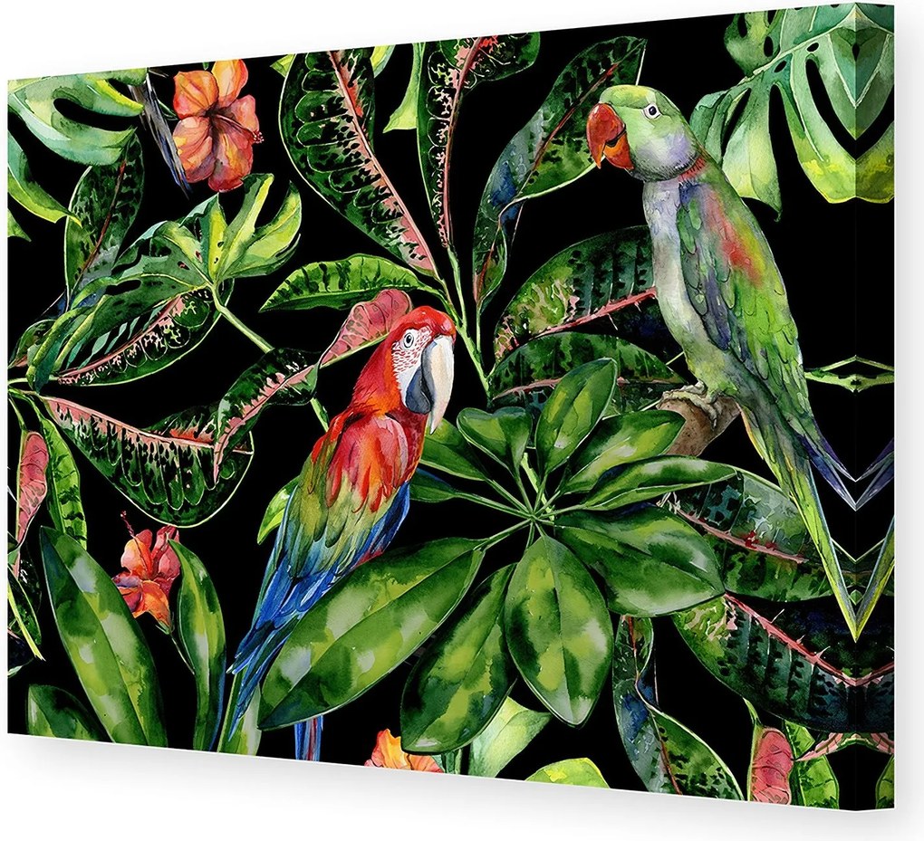 Obraz na płátně Tropical Birds