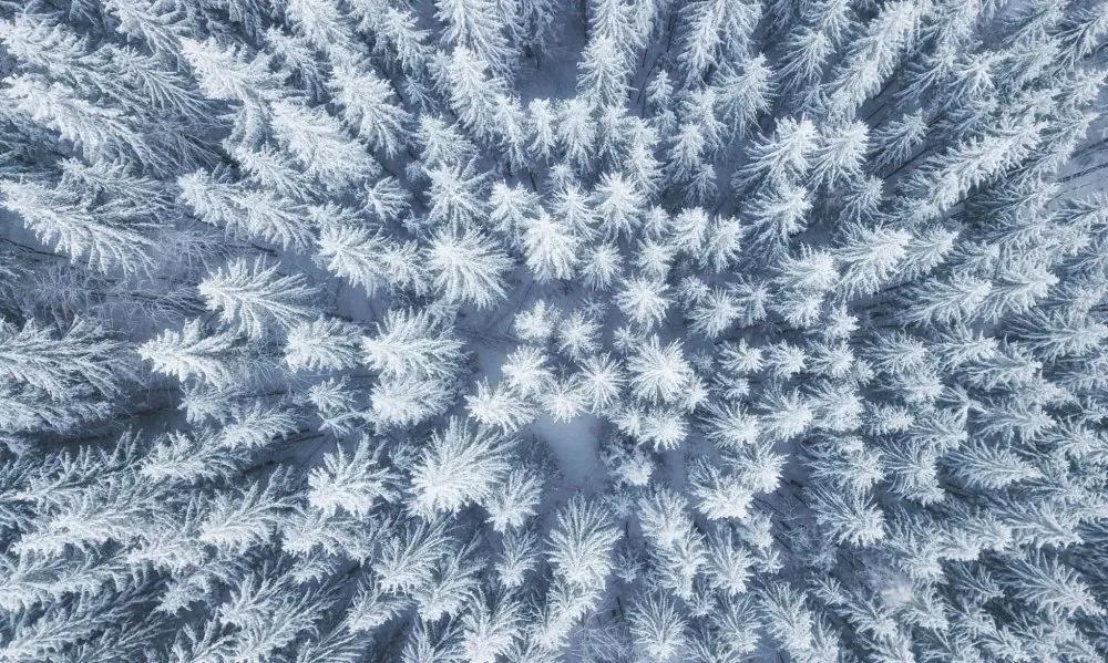 Vícedílný obraz Letecký Pohled Na Zimní Les Nedostatek Nedostatek Přírodní plátno 250x150