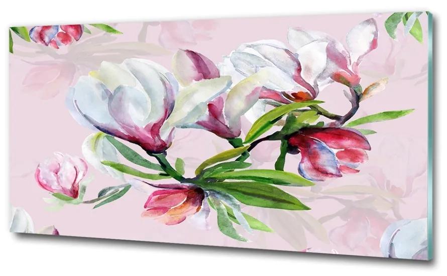 Wallmuralia Fotoobraz skleněný na stěnu do obýváku Květiny magnolie 100x50