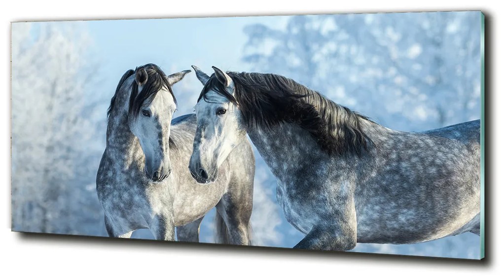 Fotoobraz na skle Zima šedý kůň
