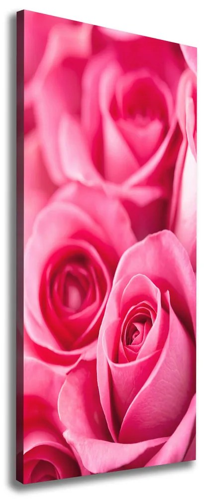 Wallmuralia Foto obraz na plátně do obýváku Růžové růže 50x125 cm