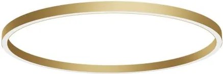 Arelux AM03WW SGD Xambit, zlaté stropní/závěsné kruhové svítidlo, 75W LED 3000K, prům. 120cm