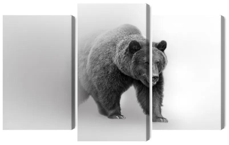 Vícedílný obraz Medvěd V Mlze 3D Nedostatek Nedostatek Přírodní plátno 120x80