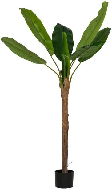 Umělý banánovník WOOOD, výška 180 cm