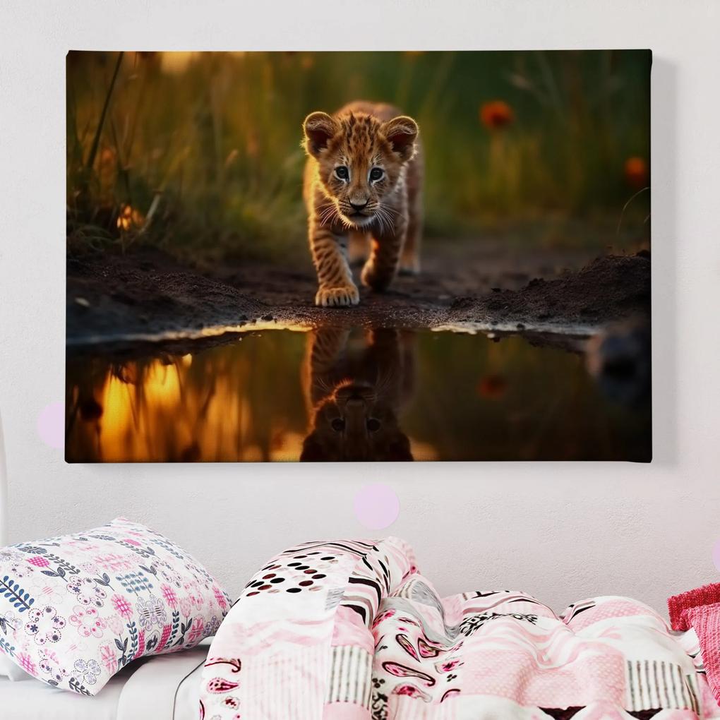 Obraz na plátně - Mládě lva v louži FeelHappy.cz Velikost obrazu: 150 x 100 cm