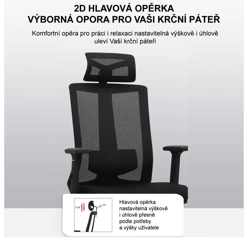 Ergonomická kancelářská židle ERGODO SITARA - černá síťovina / nosnost 150 kg