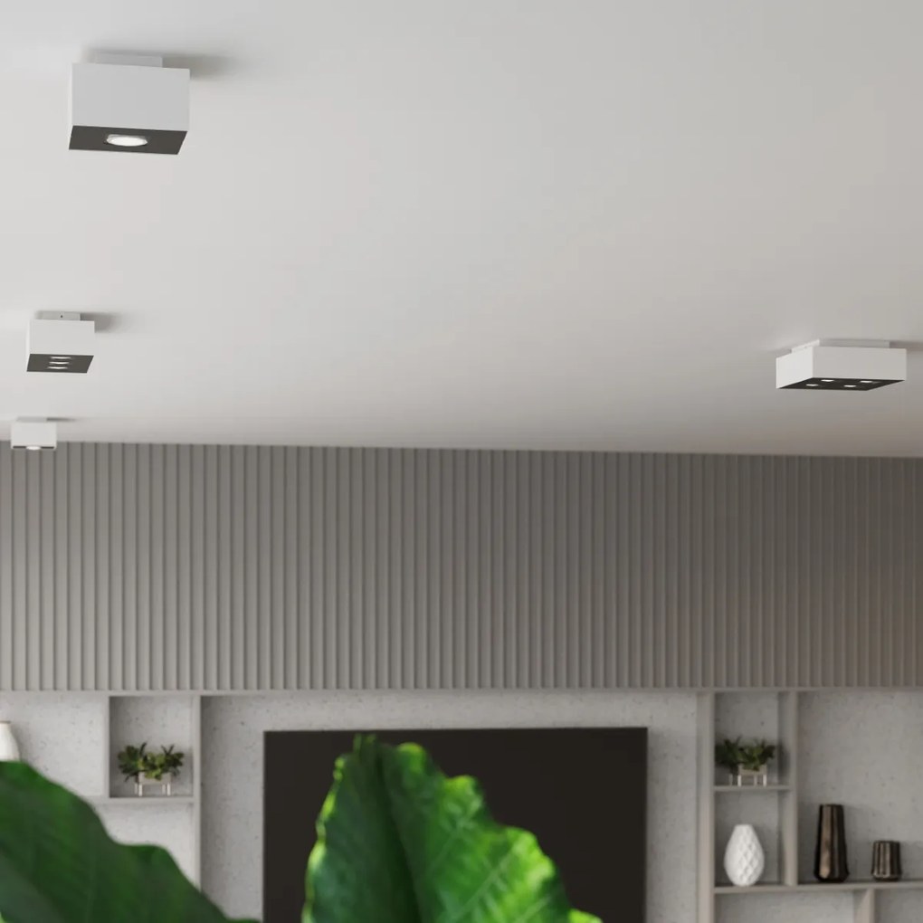 Sollux Lighting Stropní svítidlo MONO 3 bílé