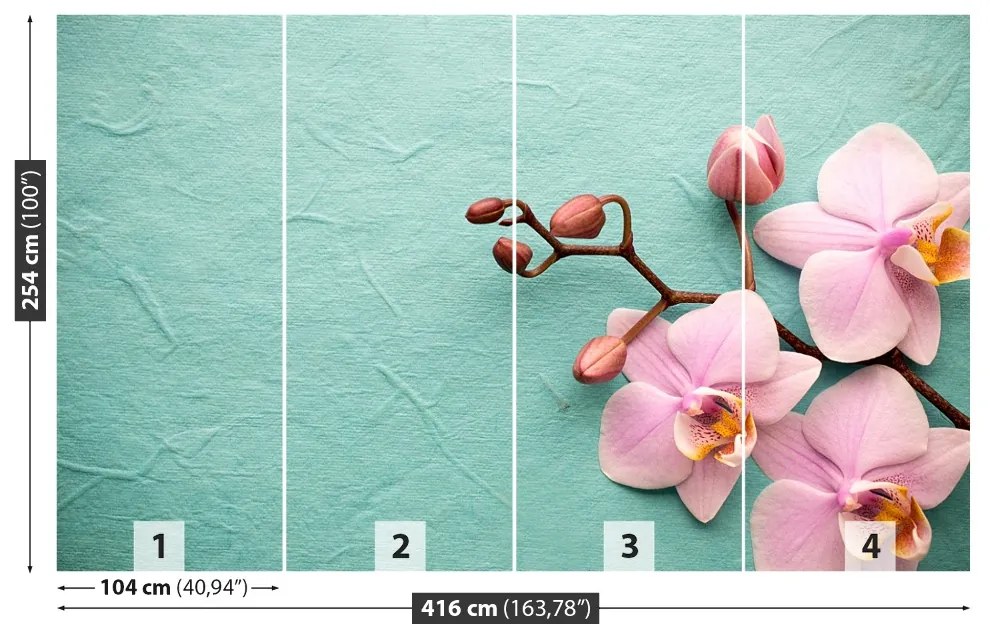 Fototapeta Orchid Pink 104x70