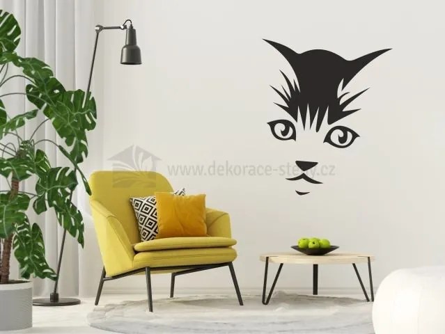 Samolepky na zeď - Kočka