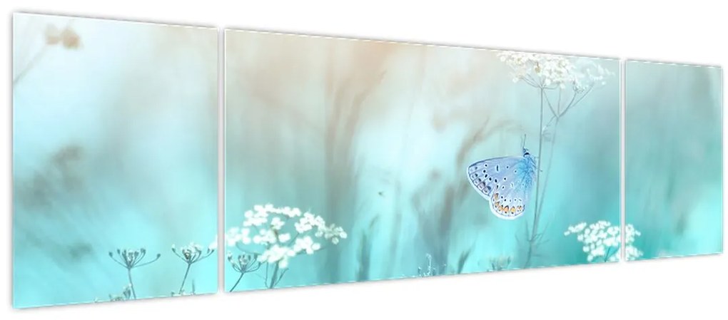 Obraz - Motýlek v modrém (170x50 cm)