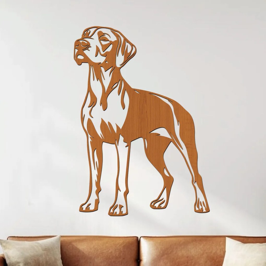dřevo života Dřevěný obraz Anglický Pointer Zvolte rozměr (cm): 57x80, Zvolte barvu dekoru: Wenge