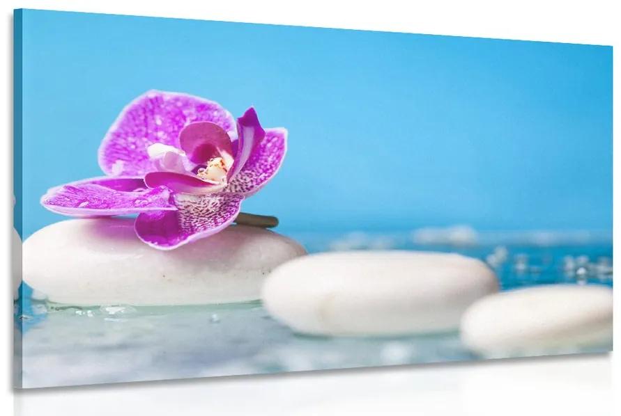 Obraz orchidej a Zen kameny Varianta: 120x80