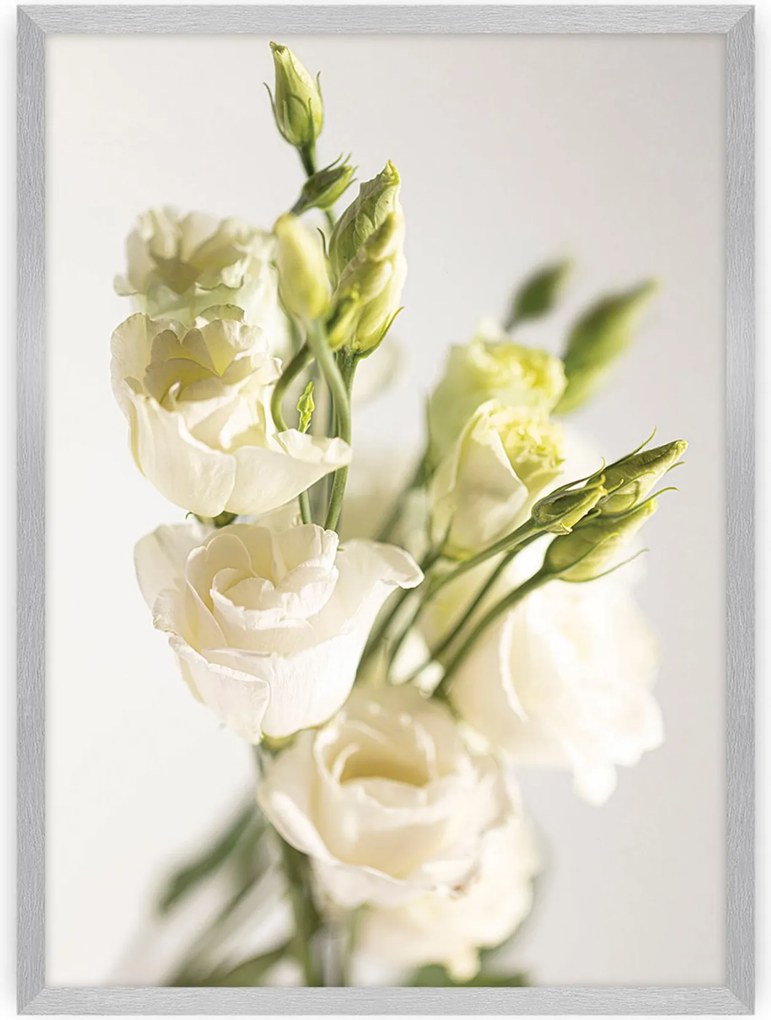Plakát Elegant Flowers