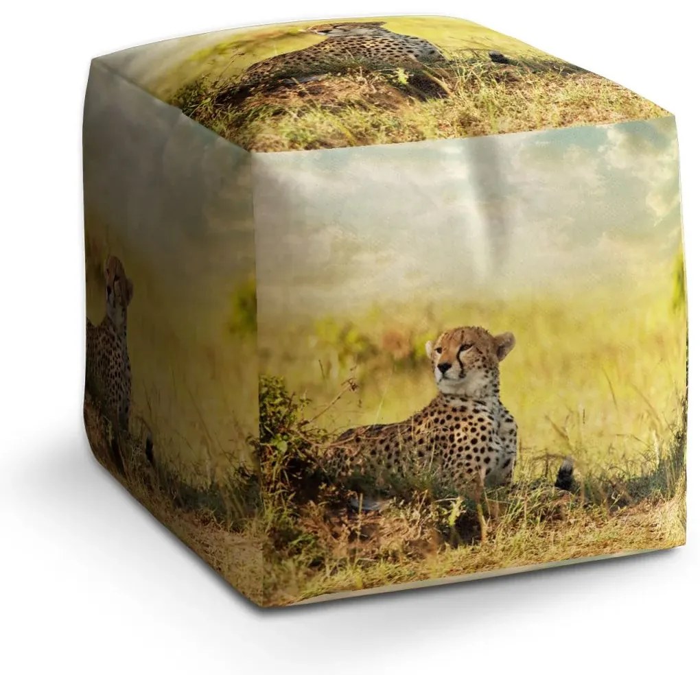 Sablio Taburet Cube Gepard: 40x40x40 cm