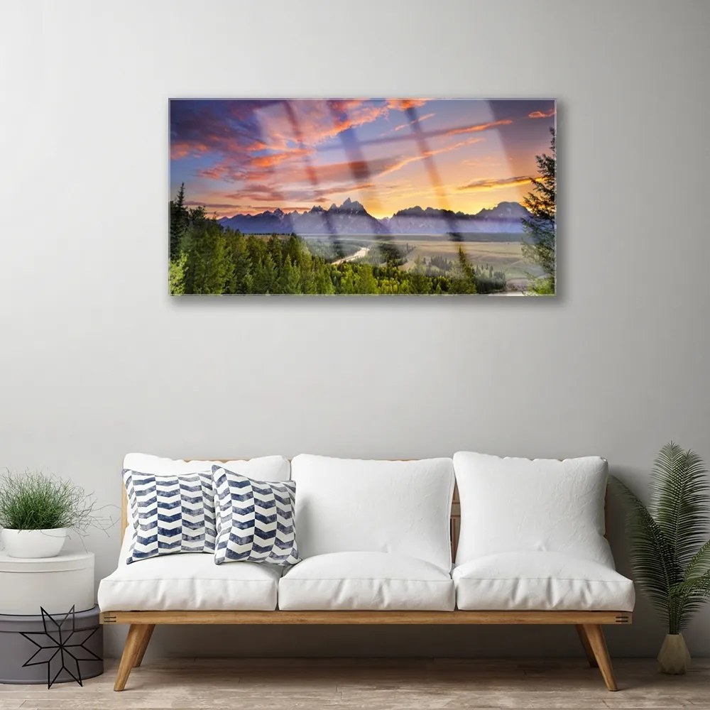 Obraz na skle Hora Les Slunce Příroda 100x50 cm
