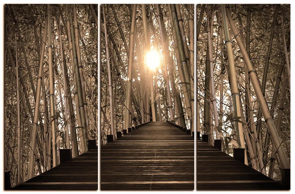 Obraz na plátně - Dřevěná promenáda v bambusovém lese 1172FB (135x90 cm)