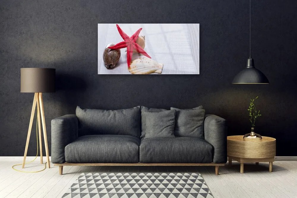 Plexisklo-obraz Hvězdice Mušle Umění 100x50 cm