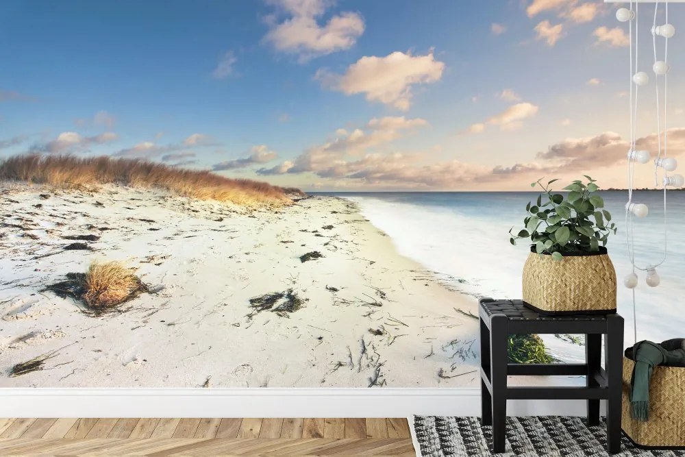 Fototapeta Pláž Mořské Duny Hladký vinyl 460x300