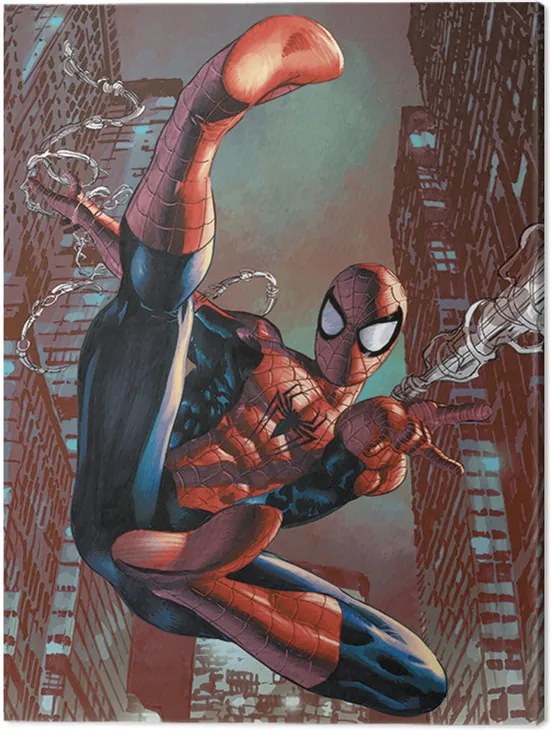 Obraz na plátně Spiderman - Web-Sling, (30 x 40 cm)