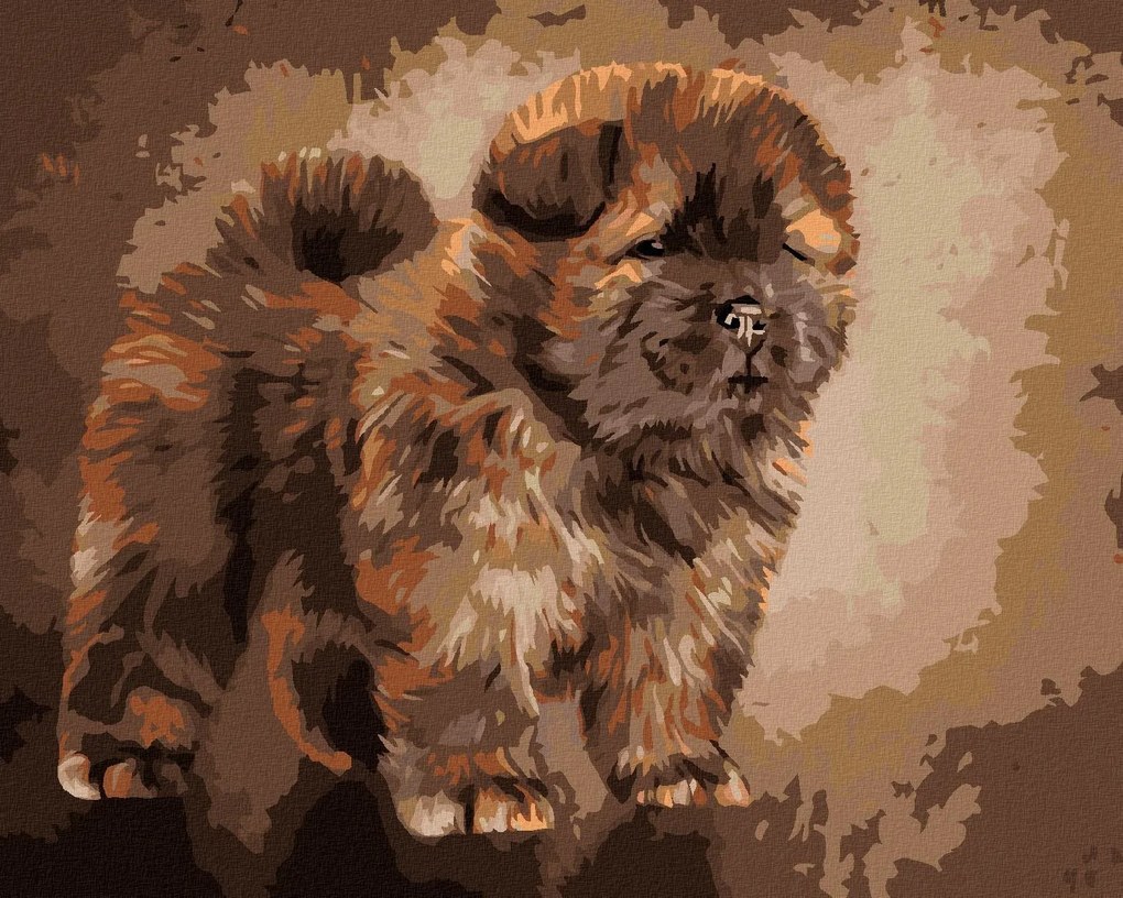 zuty zuty - malování podle čísel - štěnátko chow chow, 80x100 cm, plátno