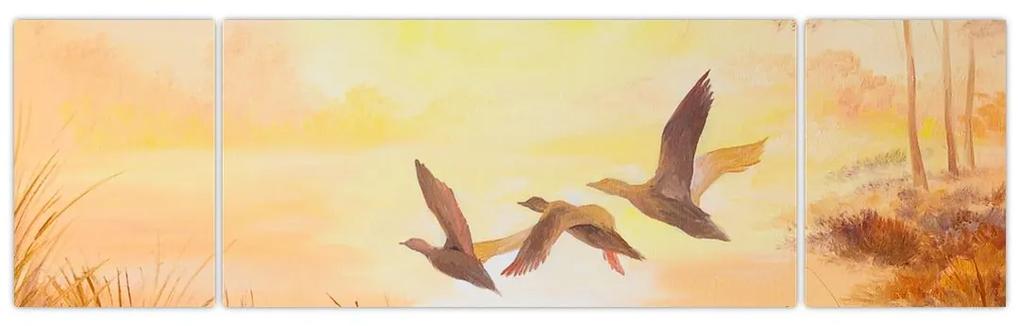 Obraz - Jeřábi při západu slunce (170x50 cm)