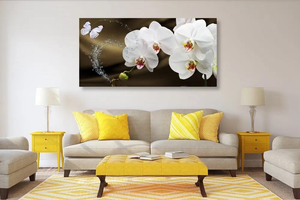 Obraz orchidej a motýl - 120x60 cm
