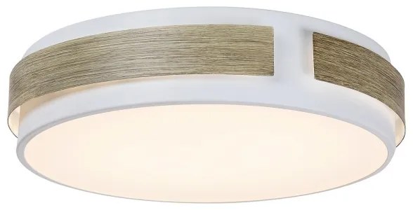 Rabalux 5646 - LED Stmívatelné stropní svítidlo SALMA LED/24W/230V