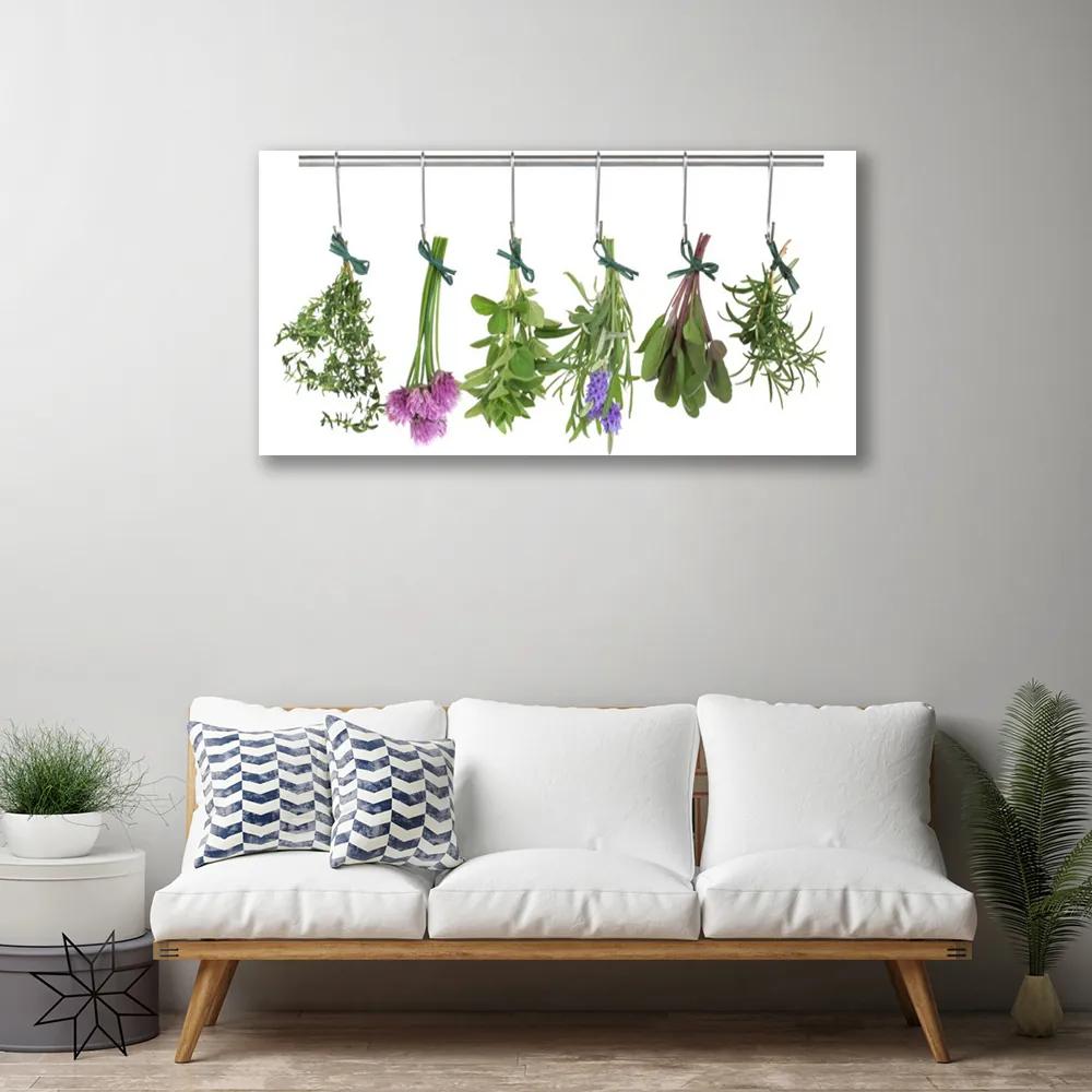 Obraz na plátně Plátky Rostlina Kuchyně 125x50 cm