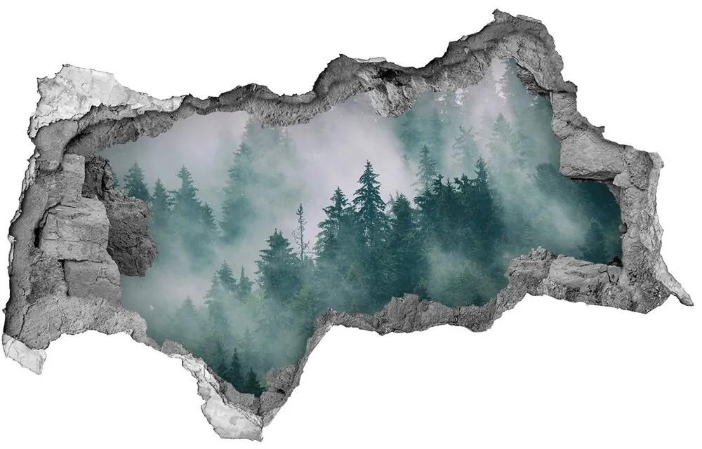 Wallmuralia Díra 3D ve zdi nálepka Mlha nad lesem 95x73 cm