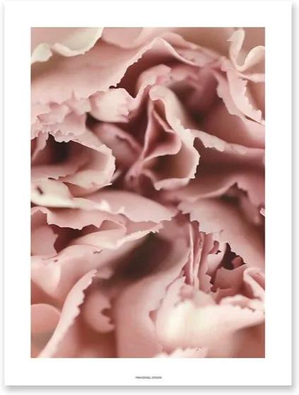 Fashionell Plakát Carnation Pink 40x50cm