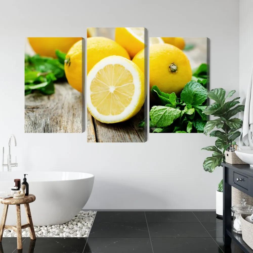 Vícedílný obraz Citron S Mátou Nedostatek Nedostatek Plátno Canvas 60x40